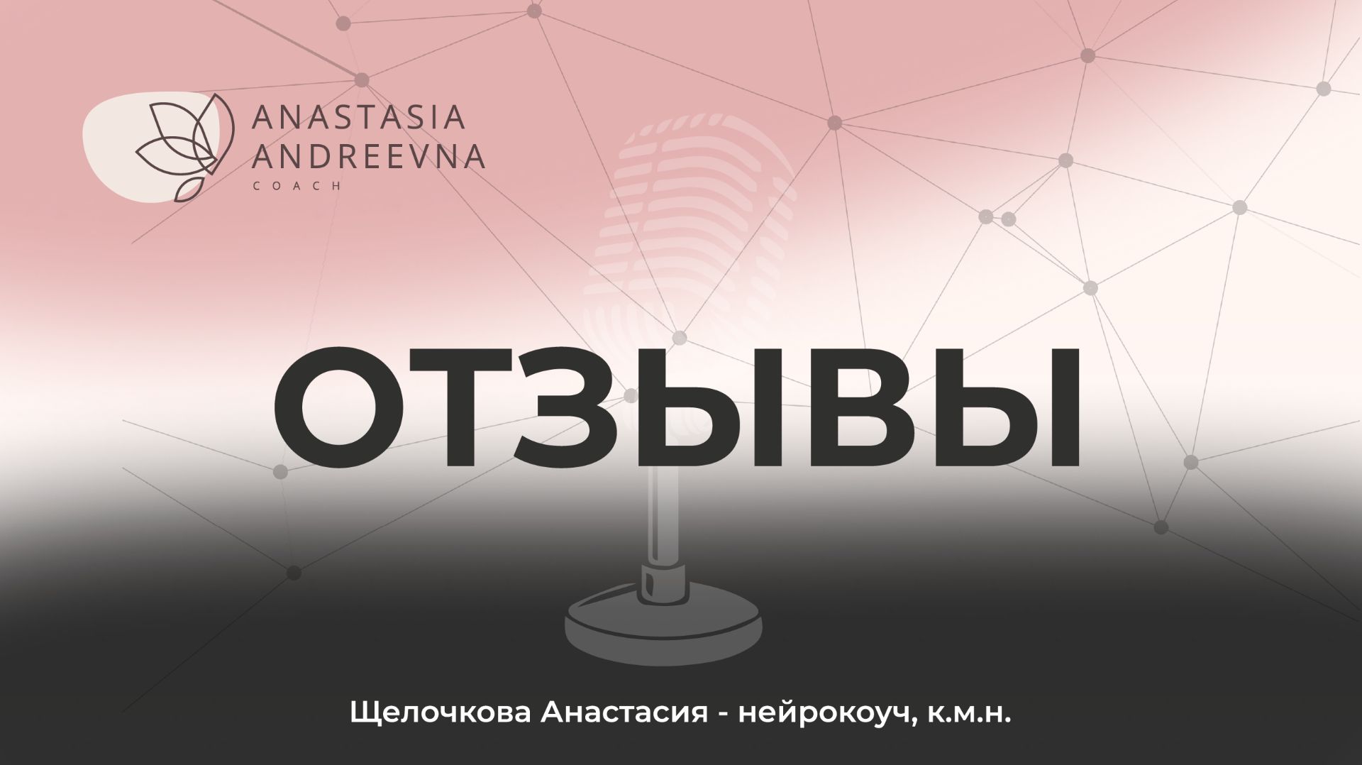 Отзывы