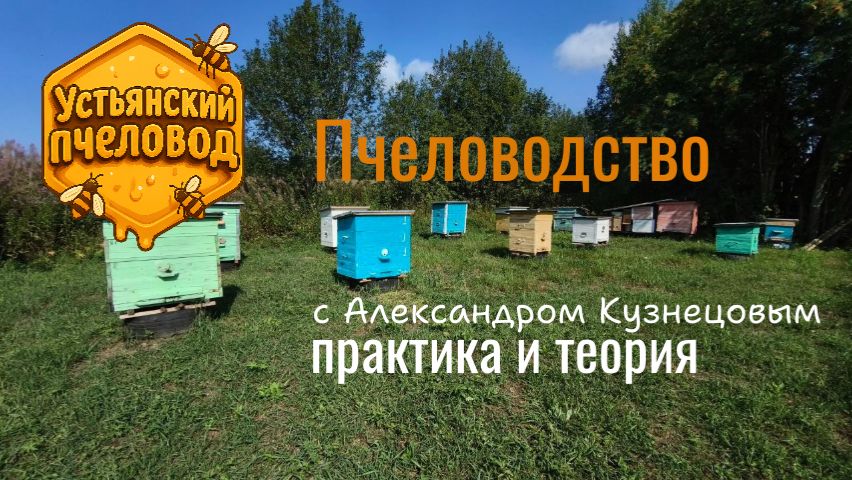 Пчеловодство
