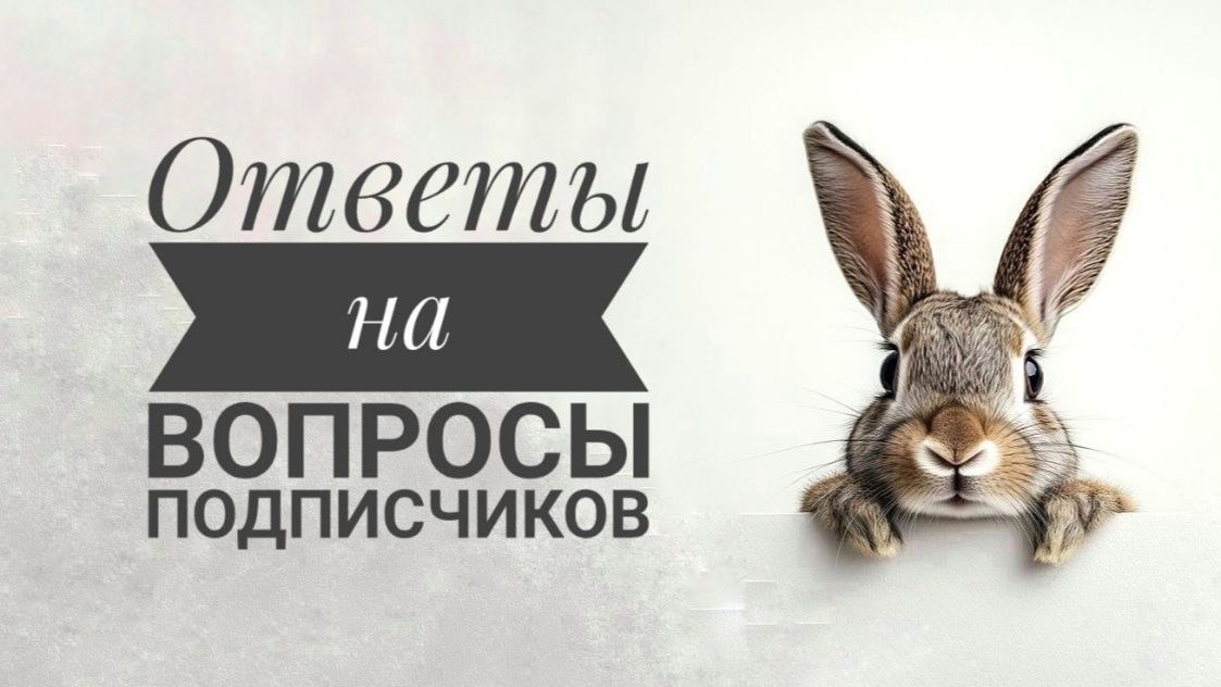 Ответы на вопросы подписчиков
