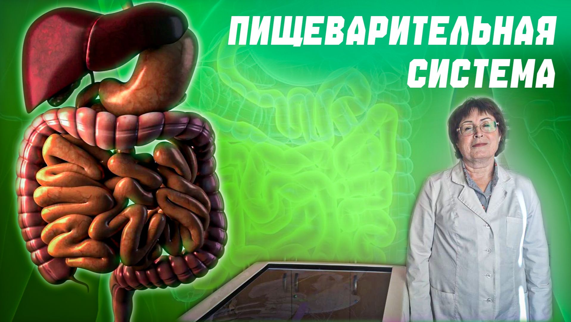 Пищеварительная Система