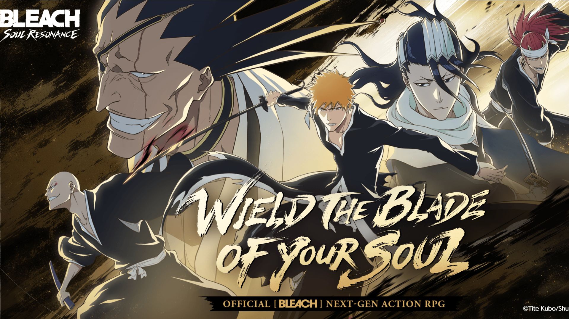 Bleach: Soul Resonance