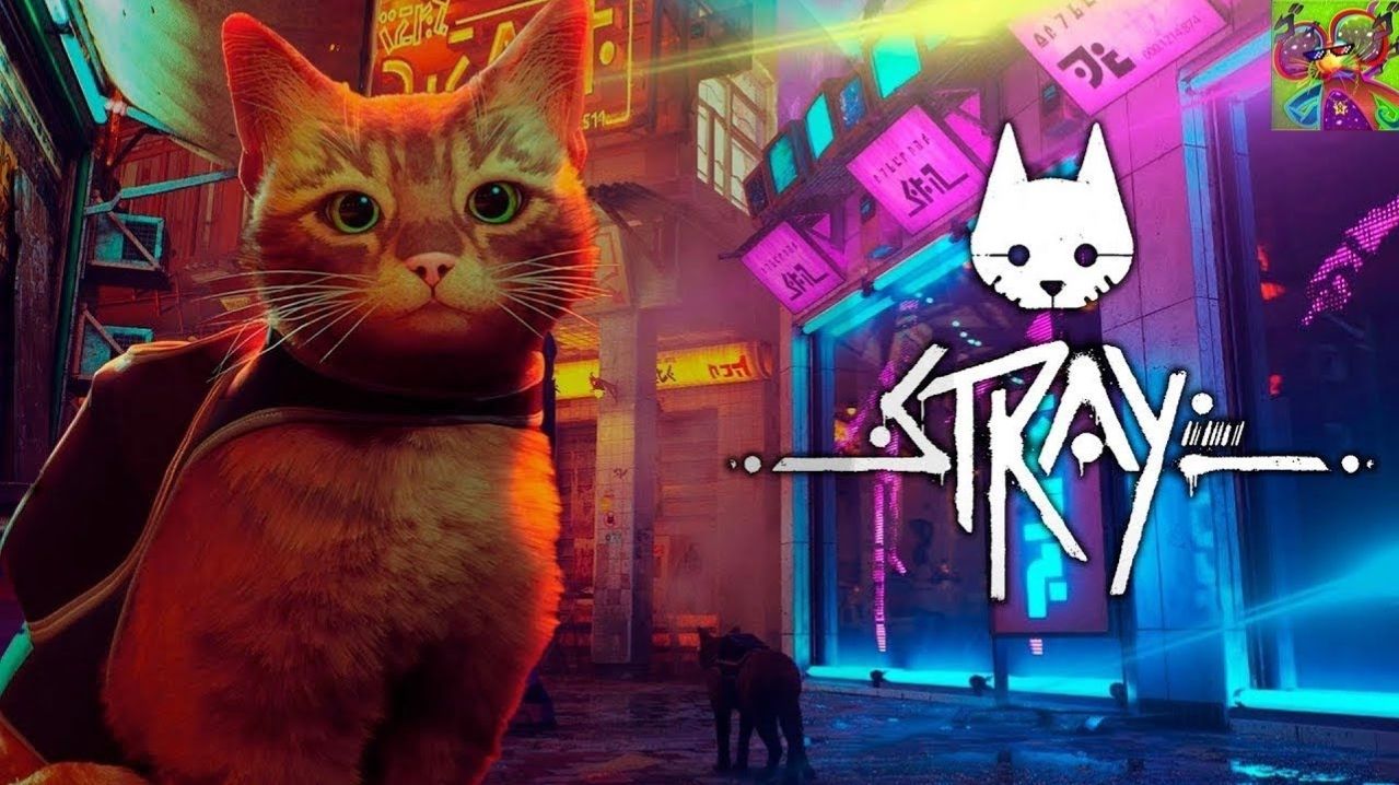 Stray