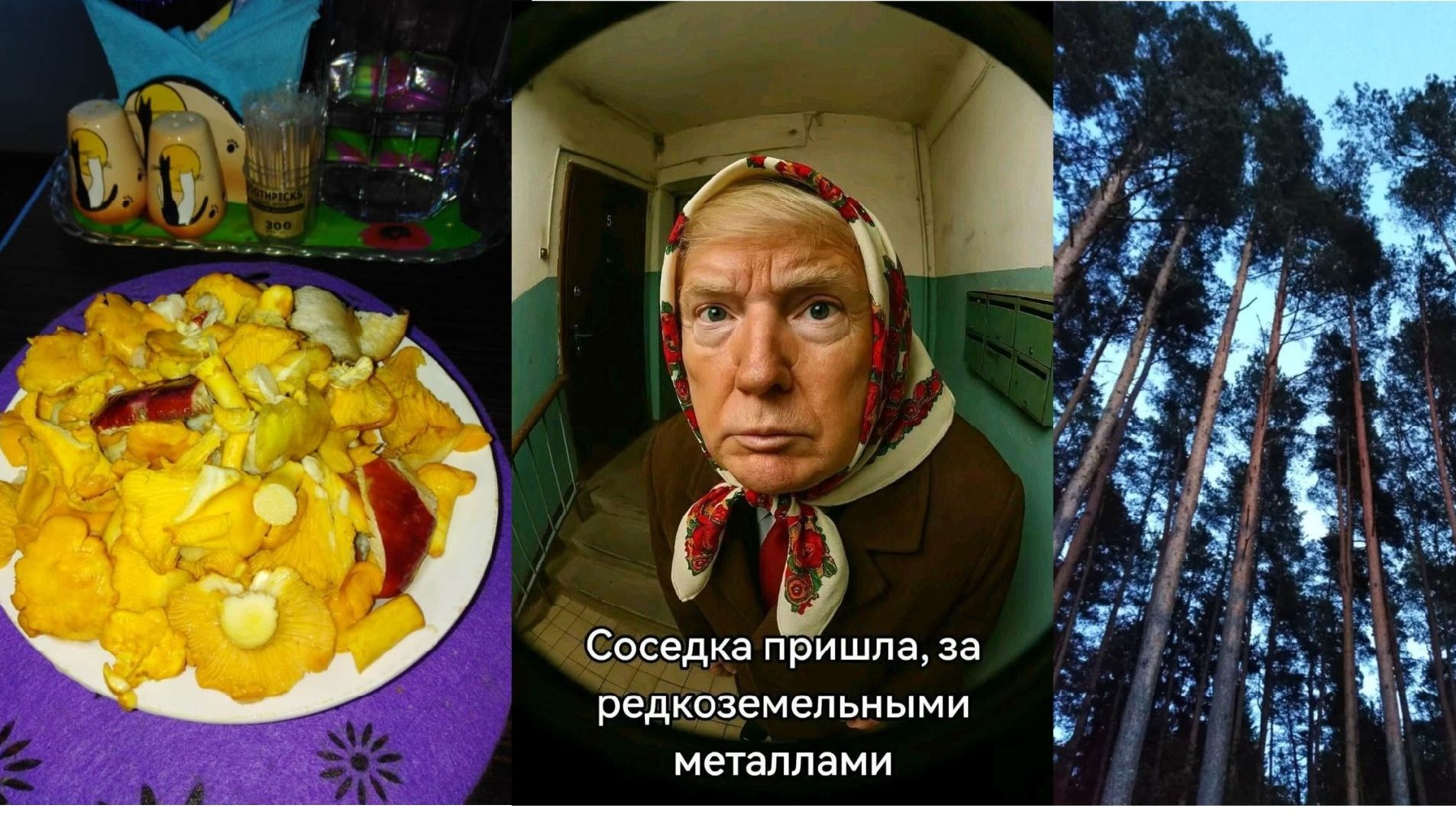 Домашняя съёмка на любителя