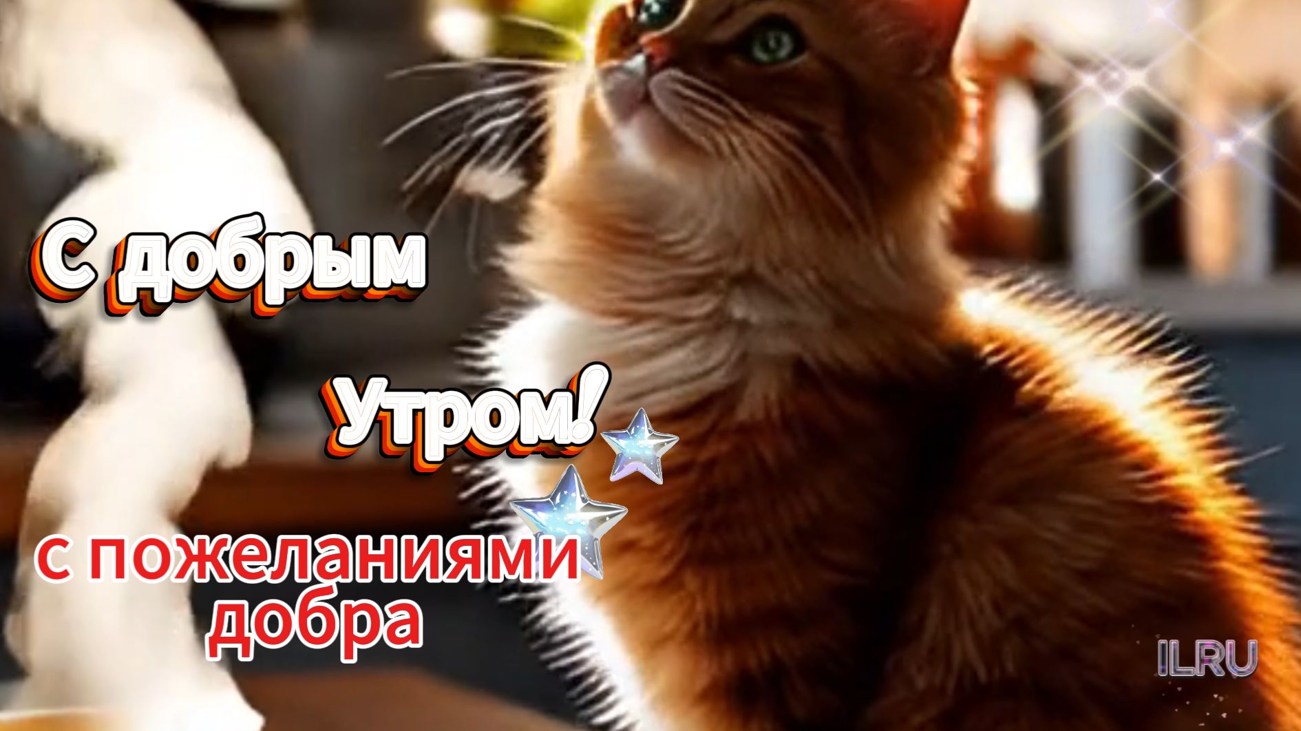 Доброго Утра Здоровья Добра Пожелания Дня