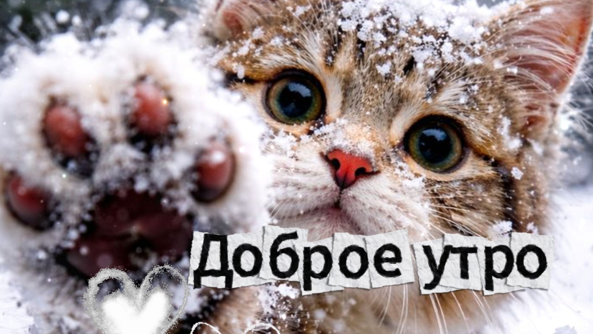 Доброе утро открытки новые пожелания утра