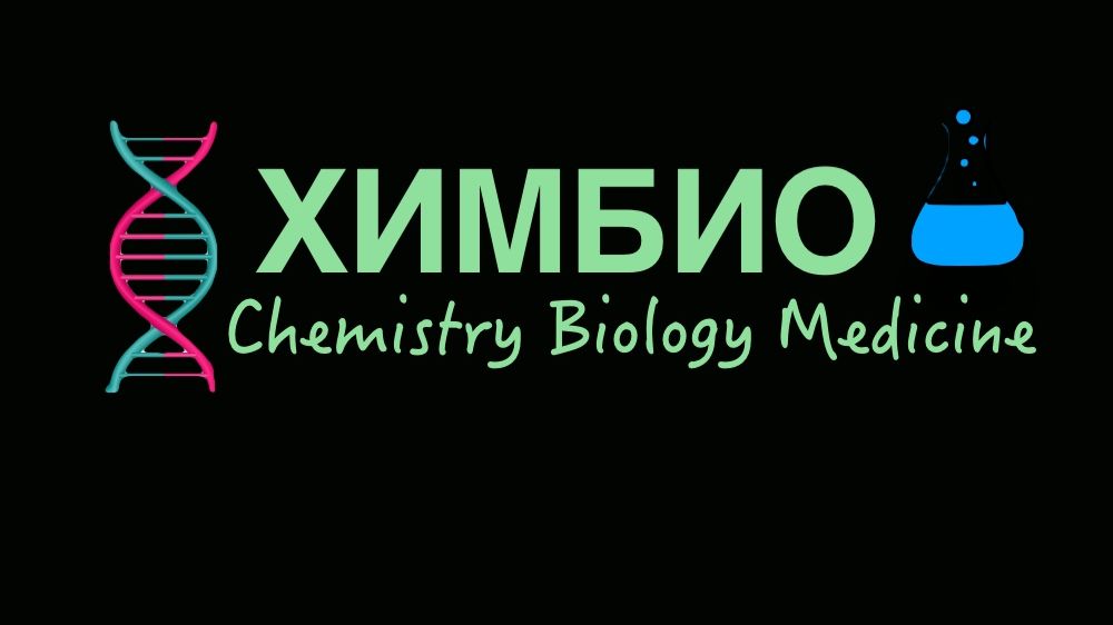 Полезный контент