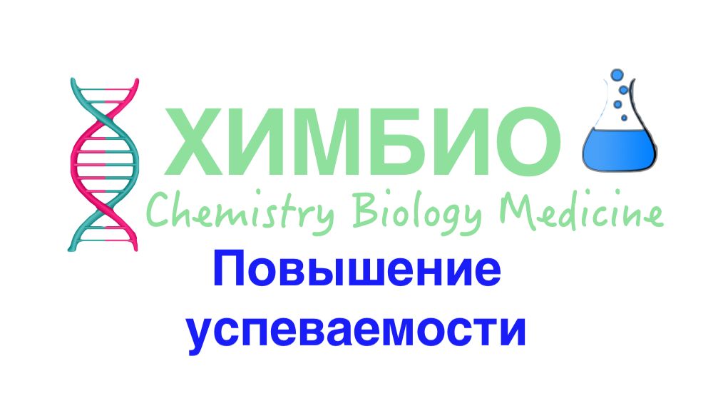 Структура сайта и урока на ХИМБИО