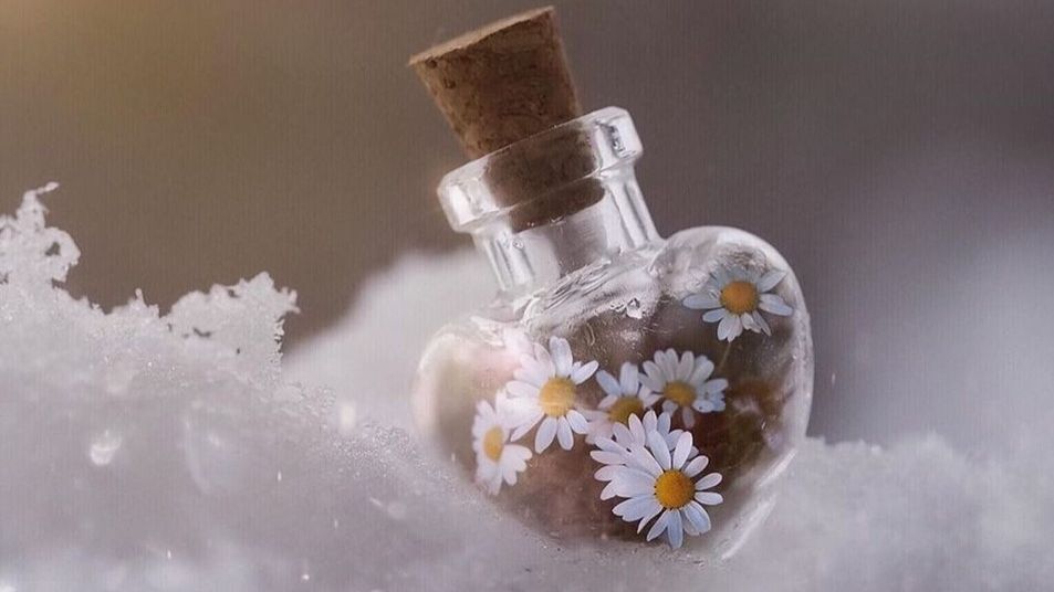 МОИ СТИХИ