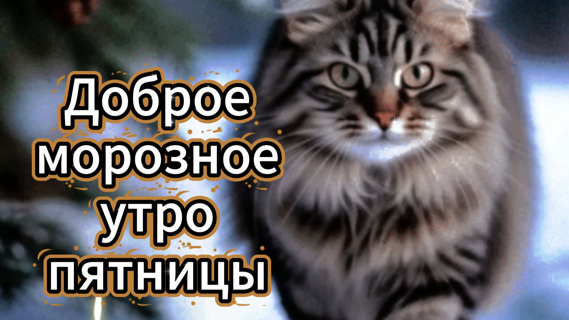 Доброе морозное утро пятницы ❄️ Пожелания!