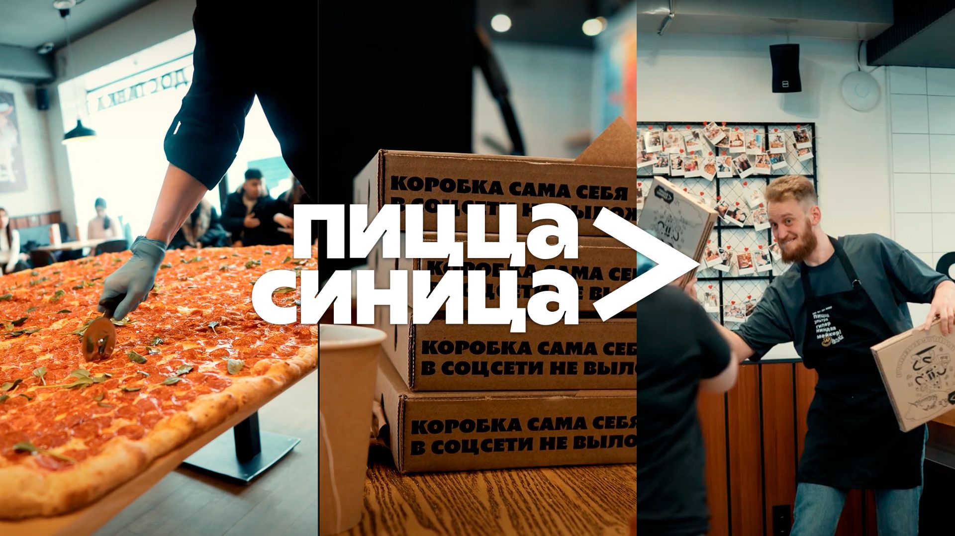 Проекты Пицца Синица
