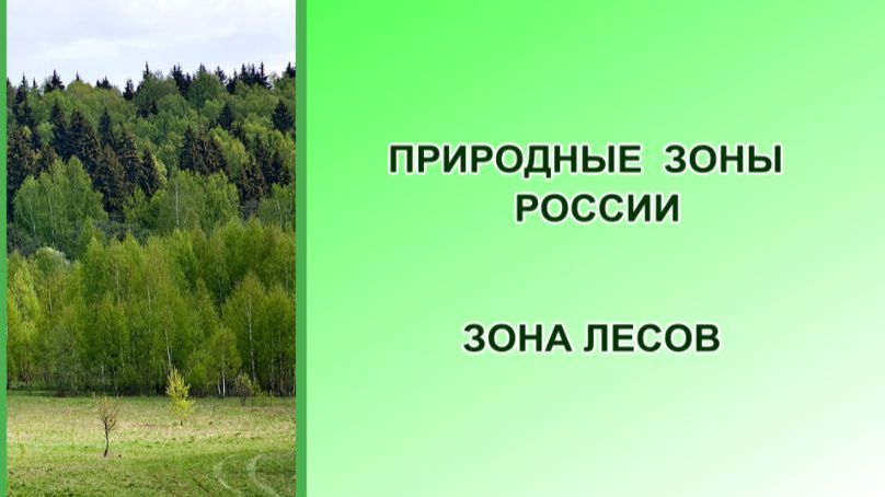 Окружающий мир: природные зоны