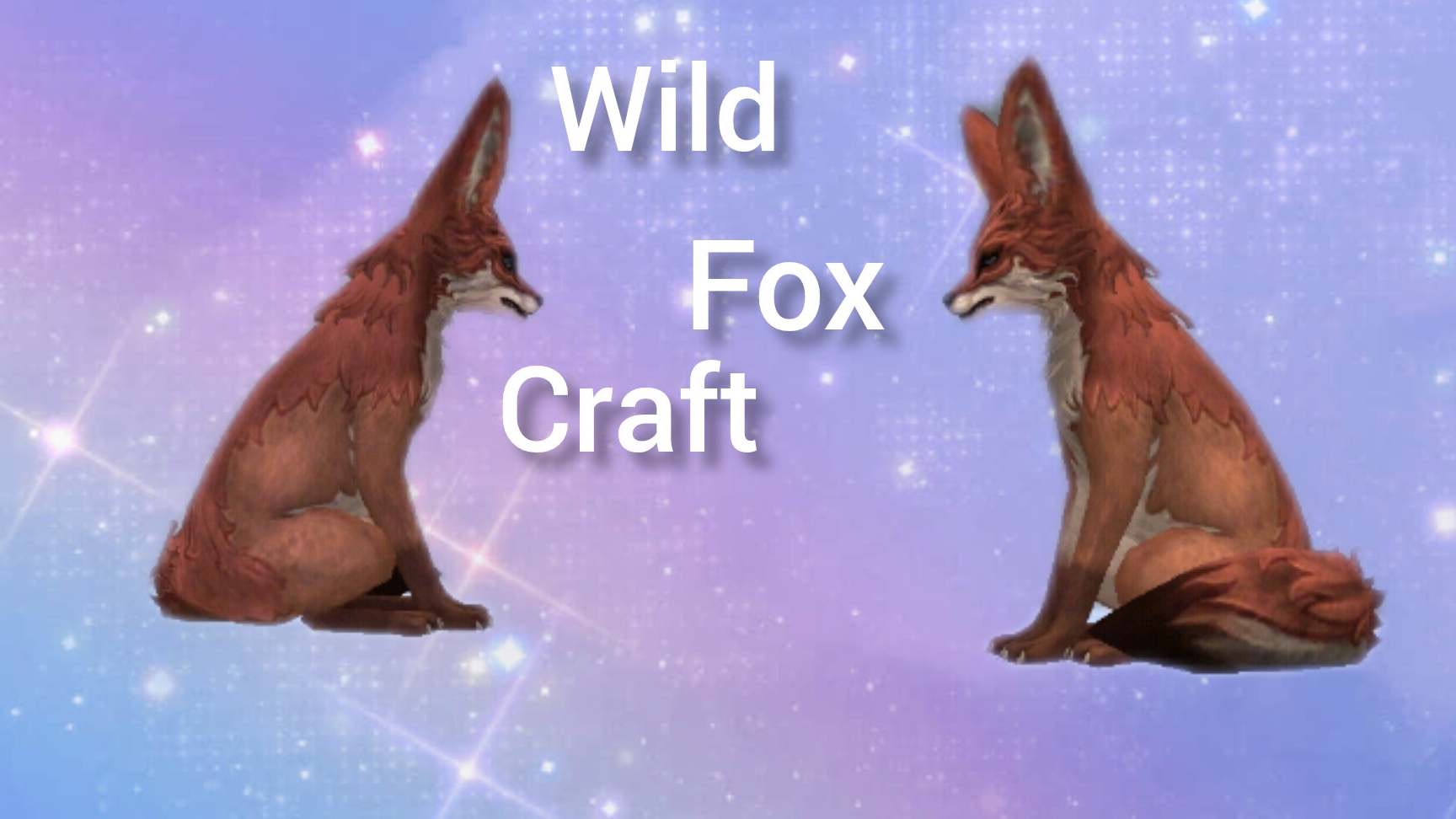 Wild craft fox