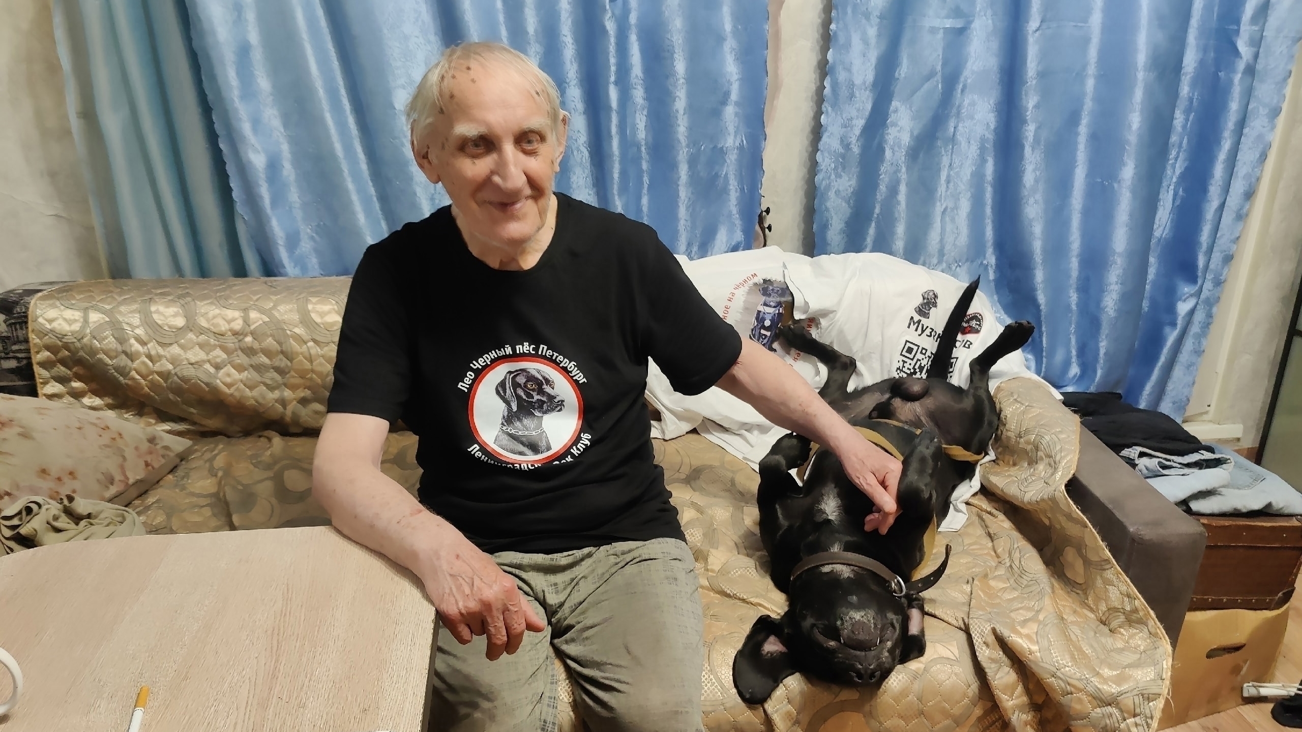 Владимир Владимирович Турбин Музей Псов