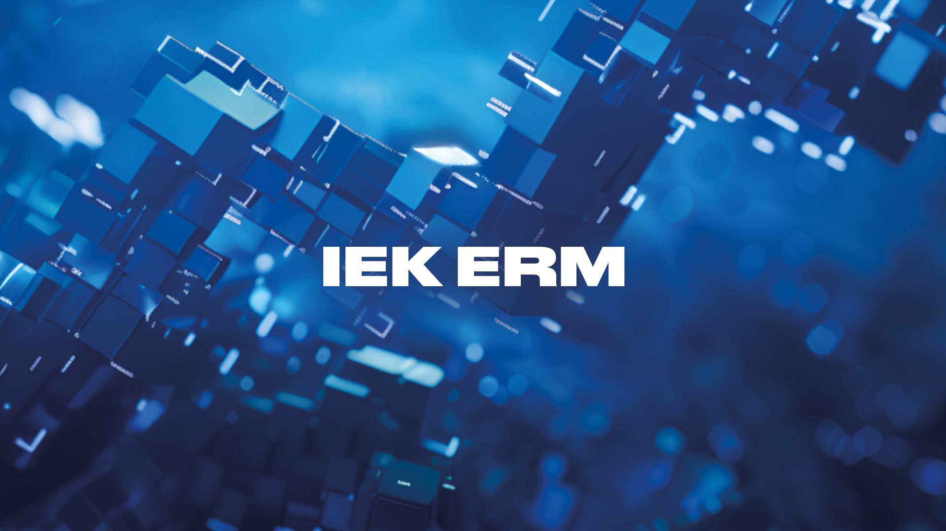 IEK ERM