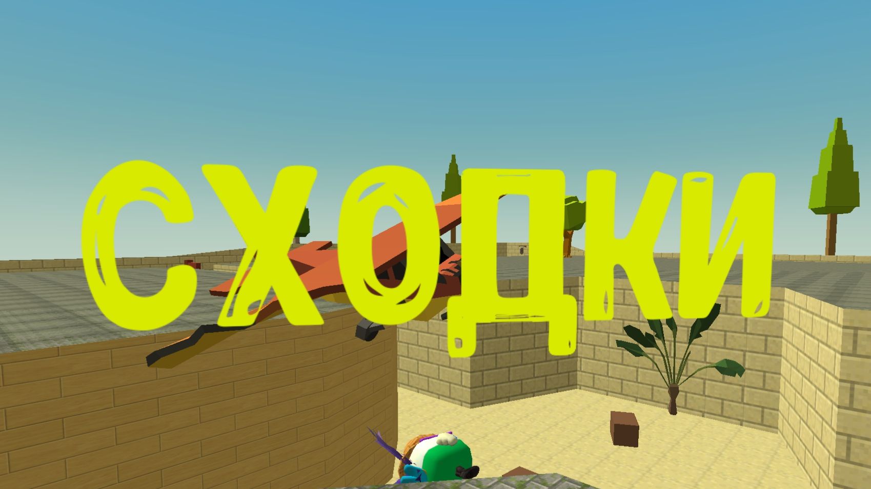 Сходки