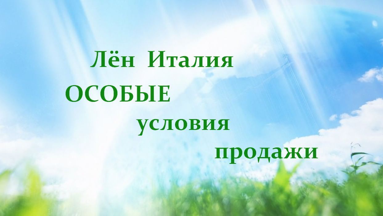 ОБЗОРЫ дополнительного товара