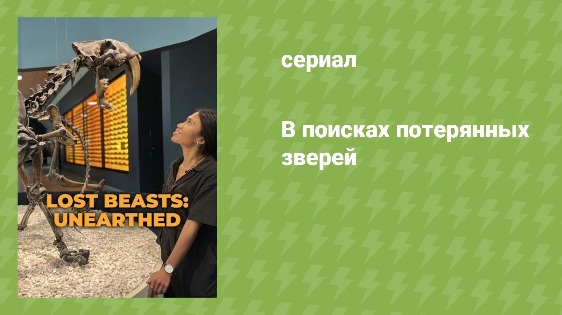 В поисках потерянных зверей (документальный сериал, 2023)