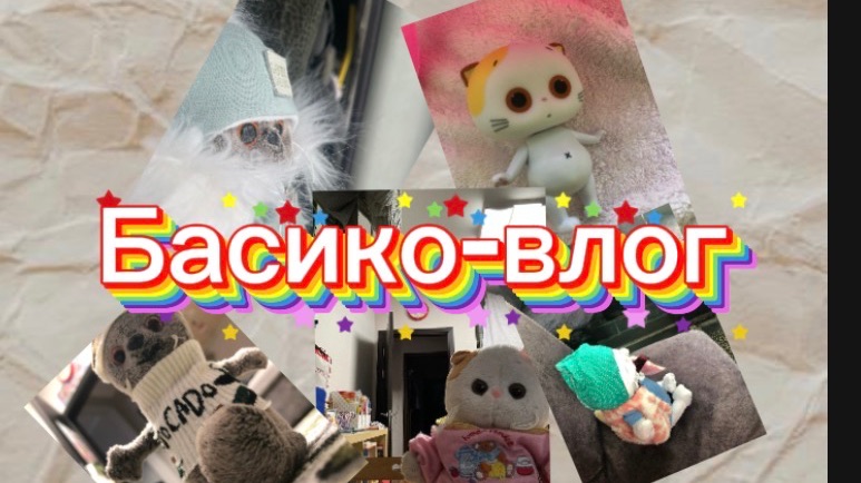 Басико-влог