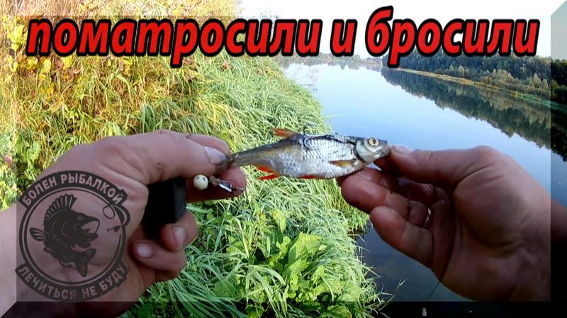 Ловля щуки на живца. Рыбалка на реке.