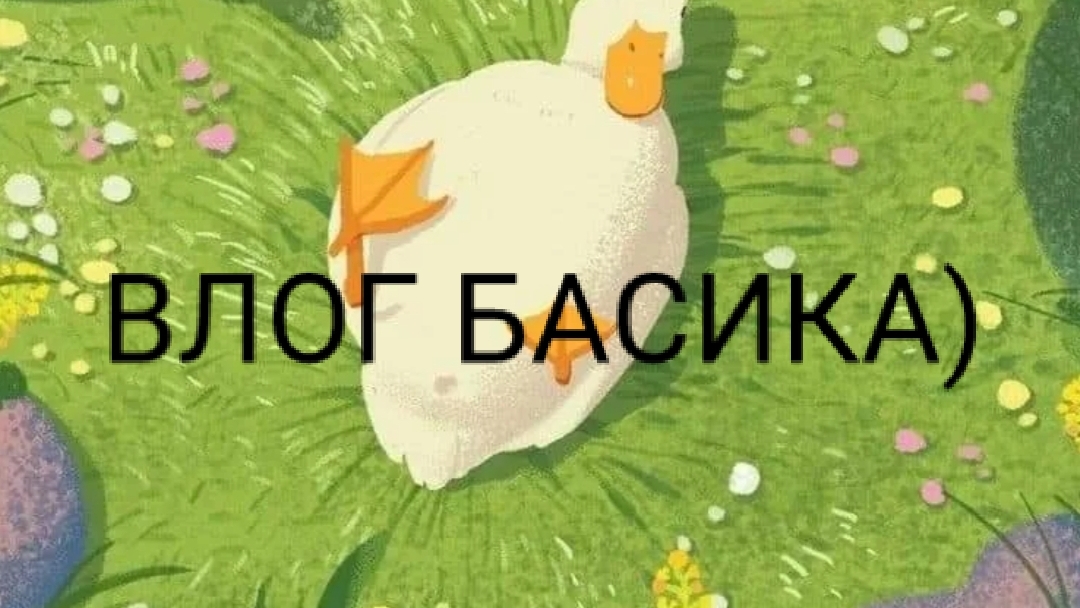 ВЛОГИ С БАСИКОМ)