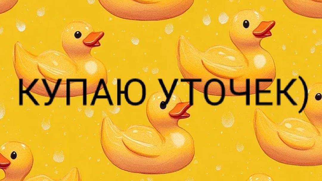 КУПАЮ УТОЧЕК)