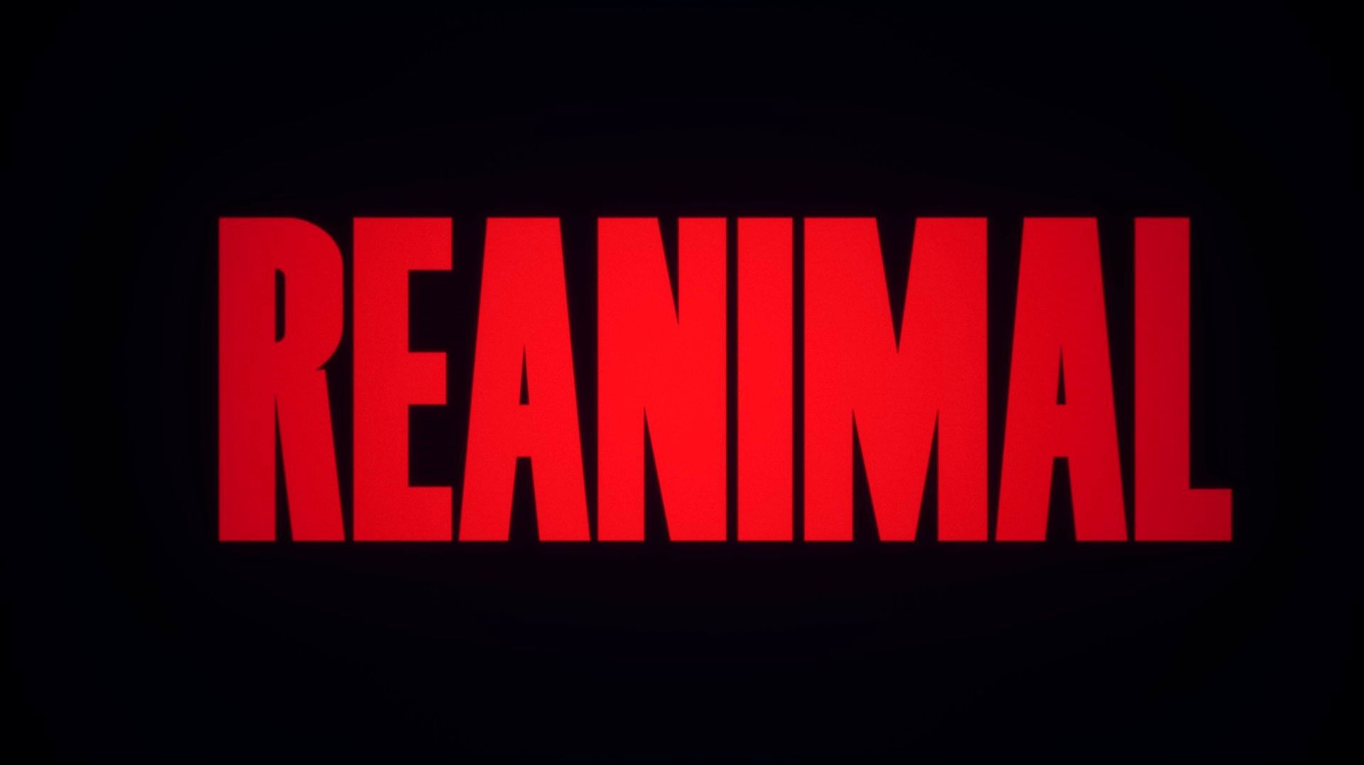 REANIMAL Кооп прохождение