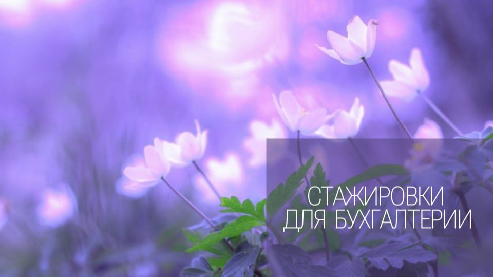 СТАЖИРОВКИ В 1С