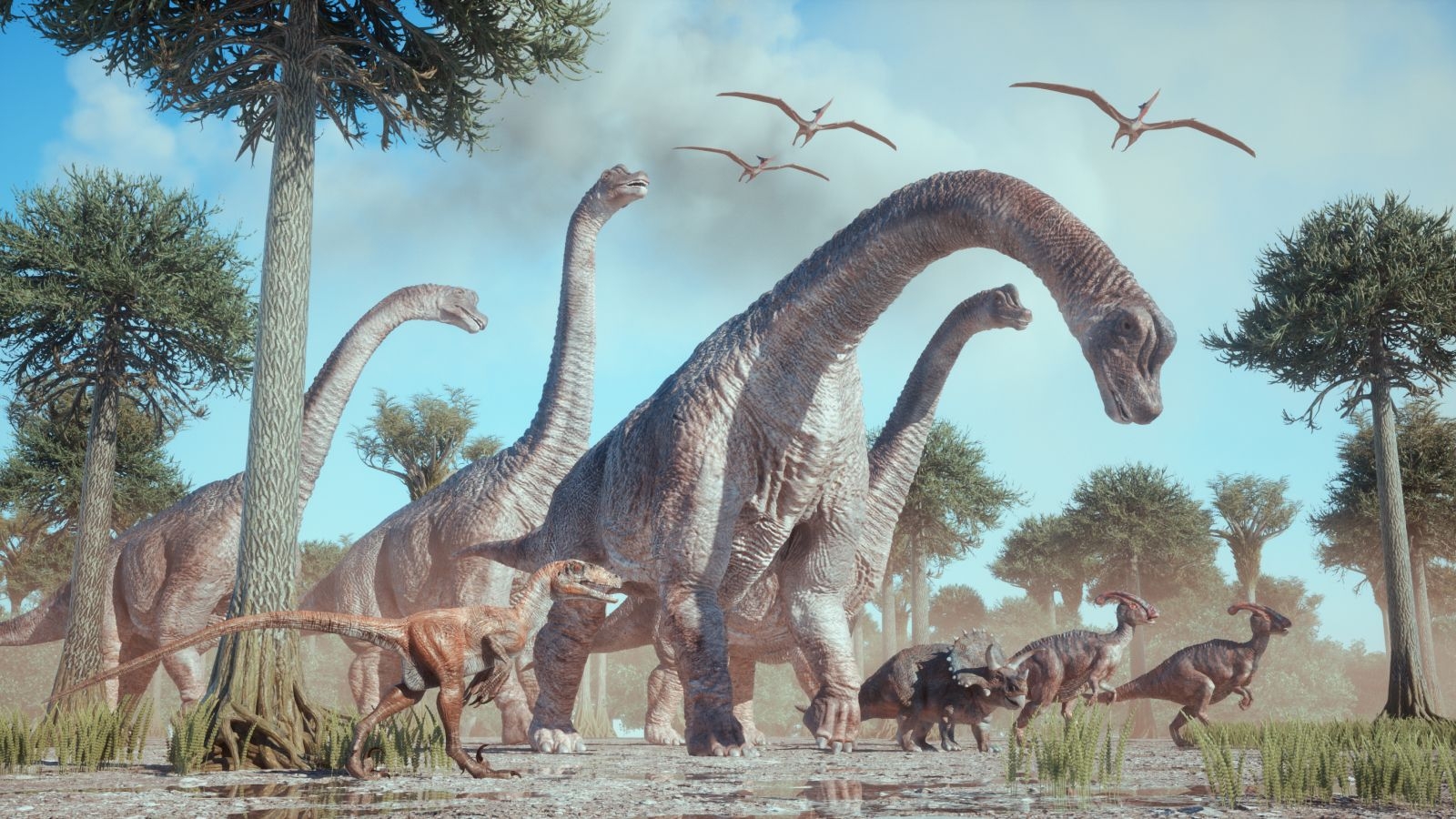 динозавры 🦕