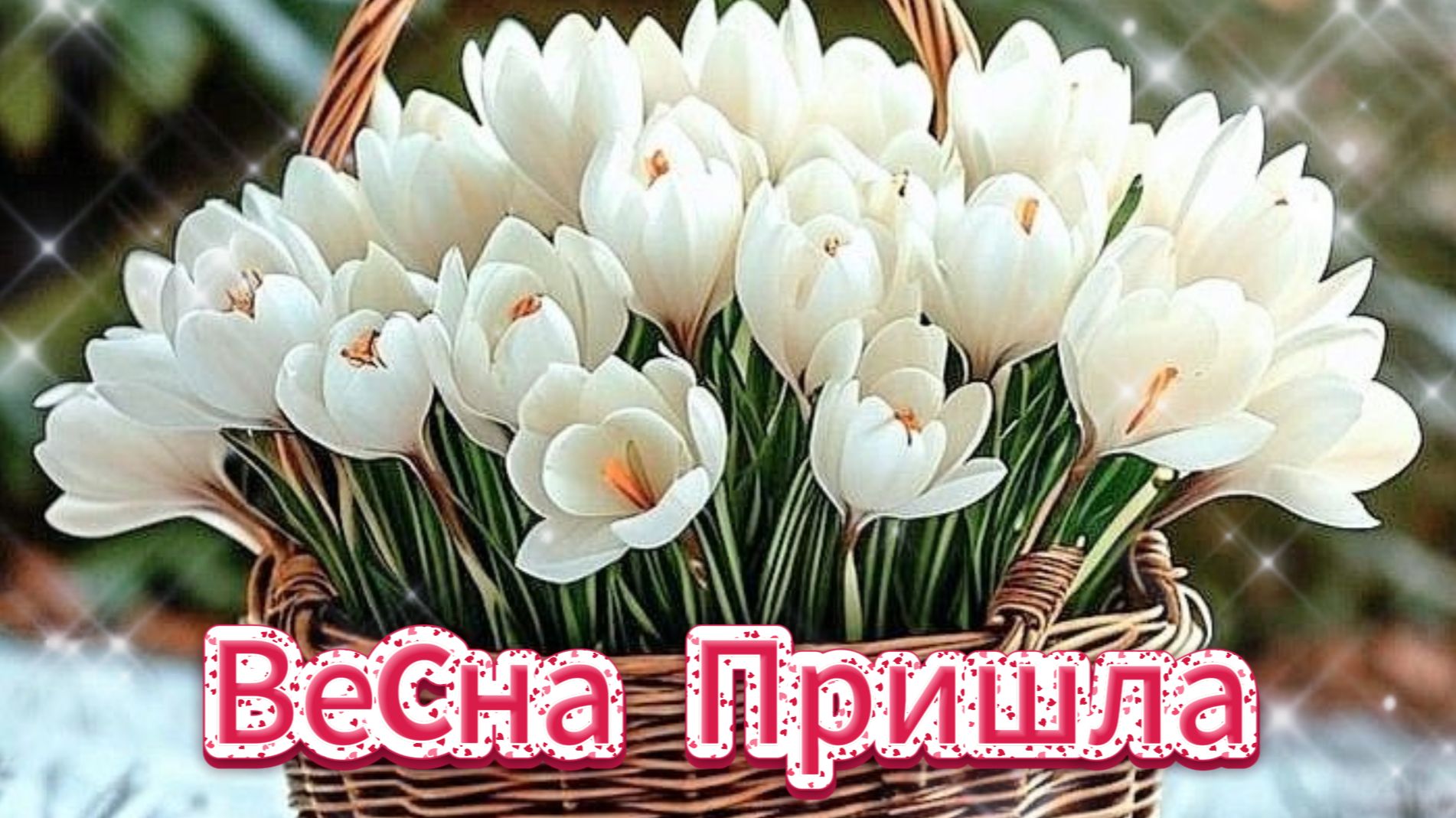 Весна пришла!  Встречаем вместе