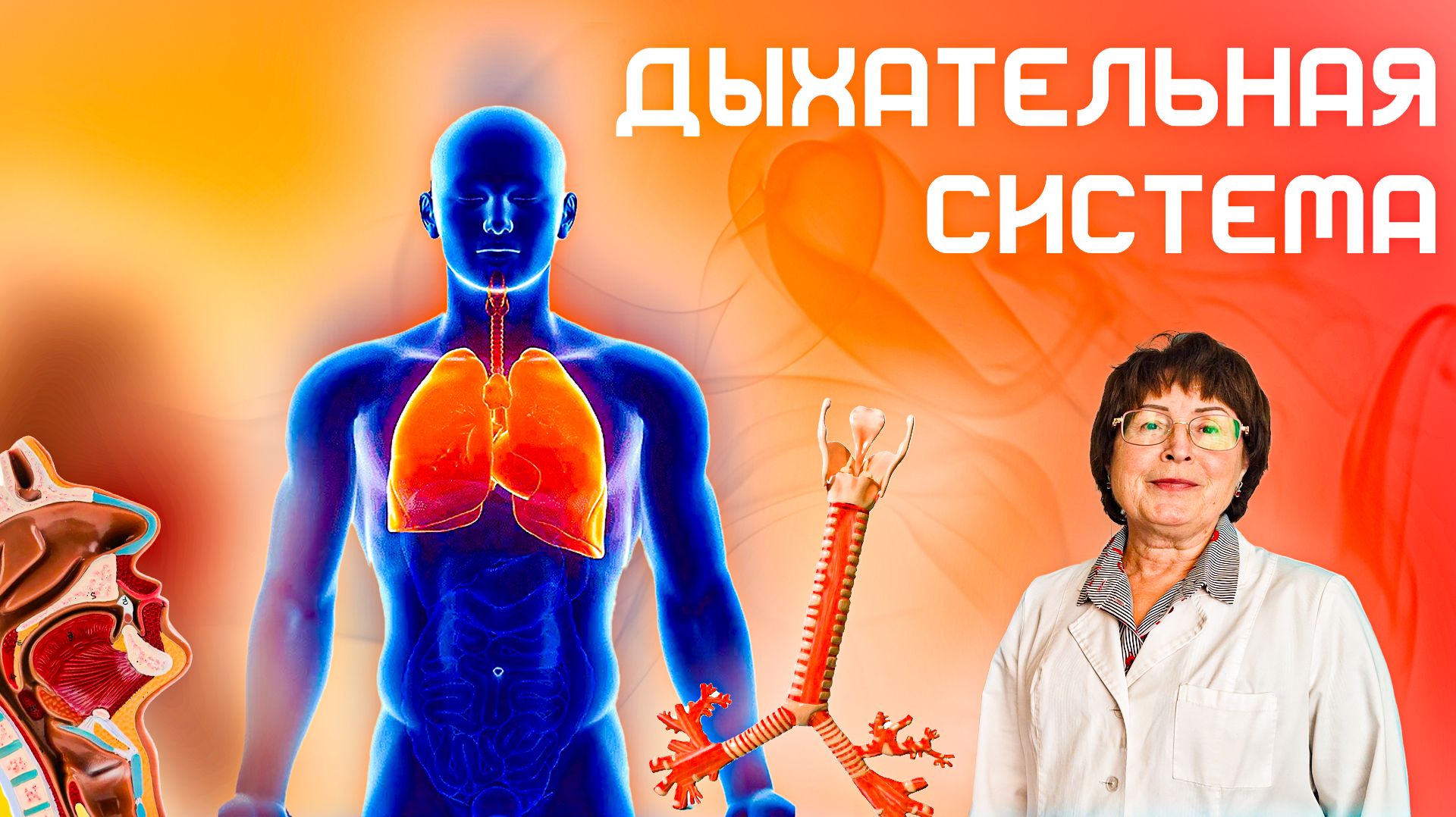 Дыхательная Система