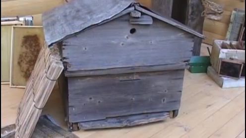 Изучаем продукты пчеловодства. Мини-видео