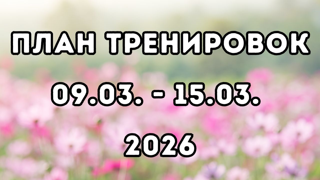 План тренировок, 2-я неделя март 2026