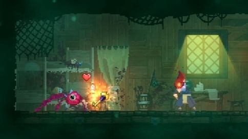 dead cells