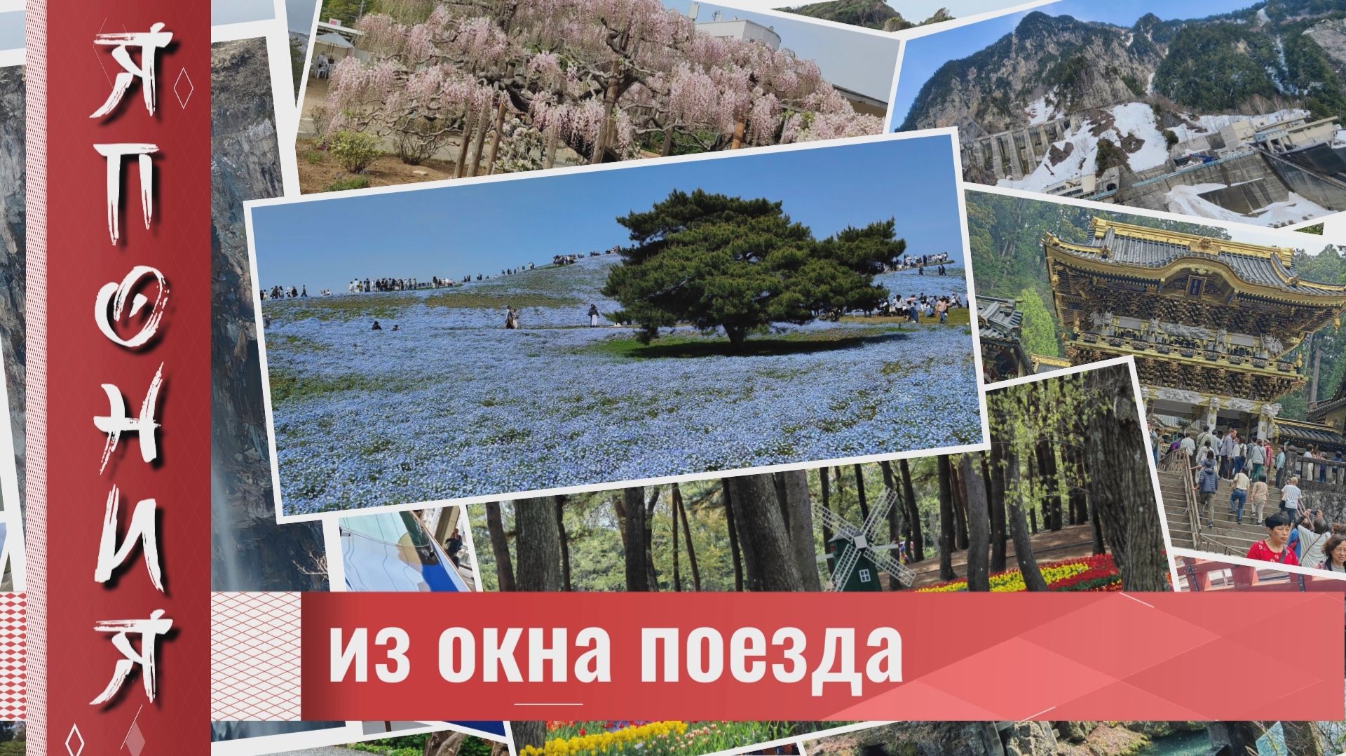 Япония