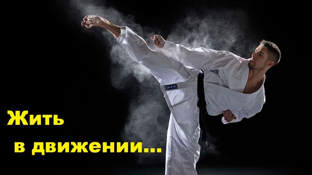 Жить в движении...
