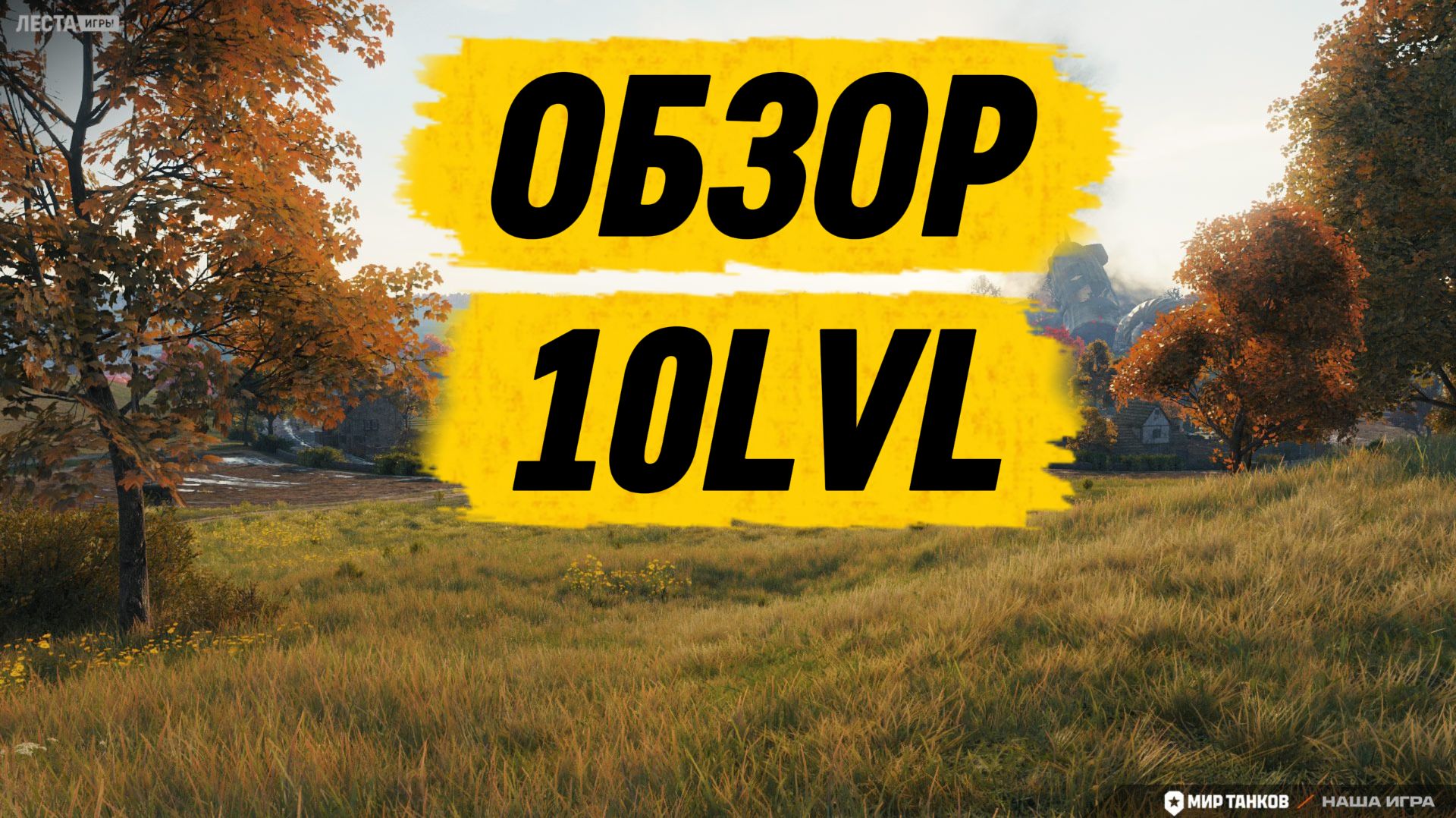 ОБЗОР 10 LVL