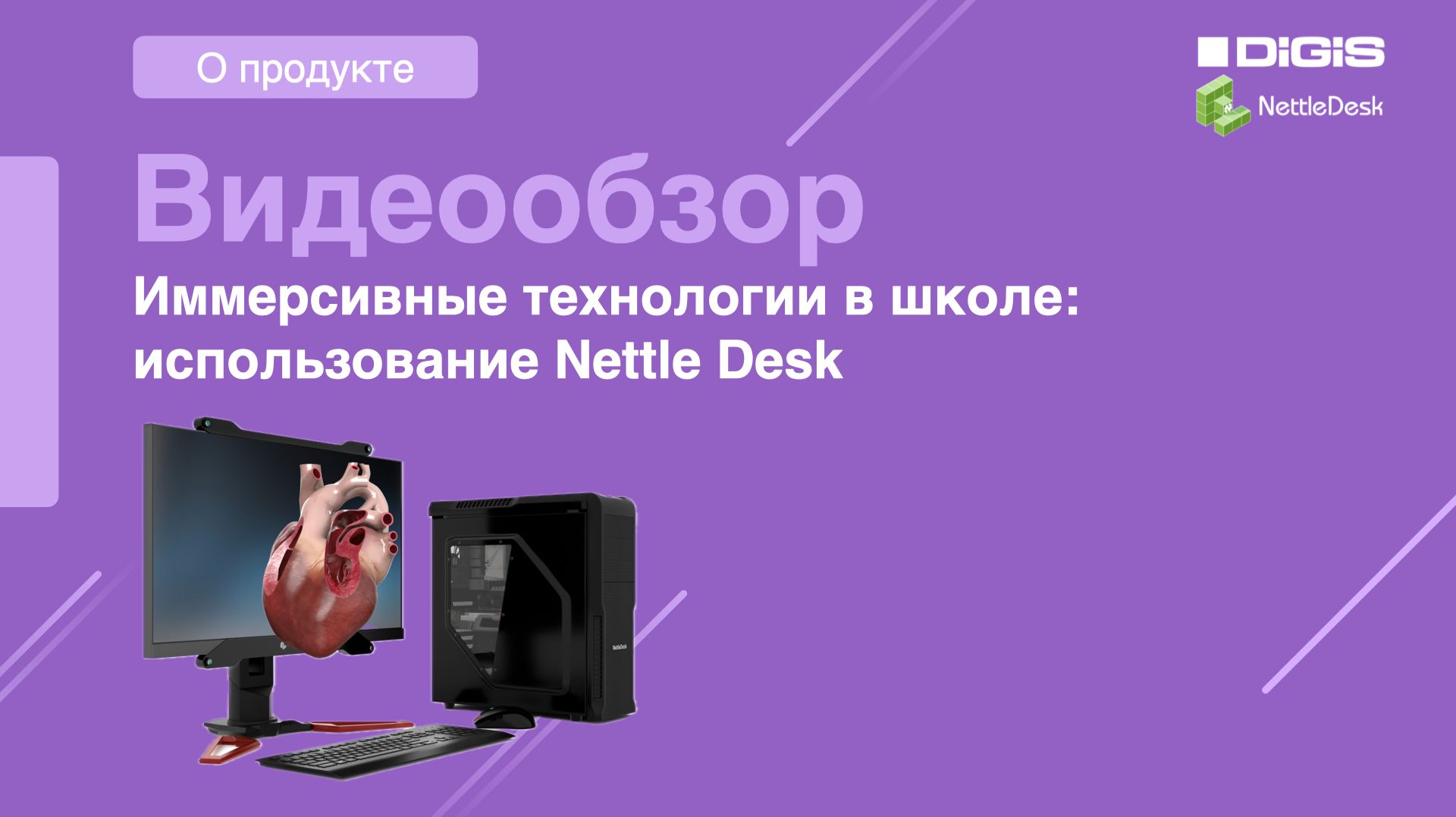 Голографические системы Nettle Desk
