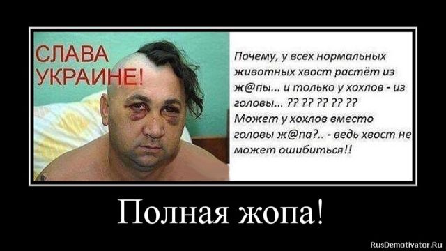 ЧАТ-РУЛЕТКА !!!!! ХОХЛЭНД-ЦИРК !!!!! ВЕЛИКИЕ УКРЫ ВЫГРЕБАЮТ ПО ПОЛНОЙ !!!! ПЛЕННЫХ НЕ БРАТЬ !!!!!