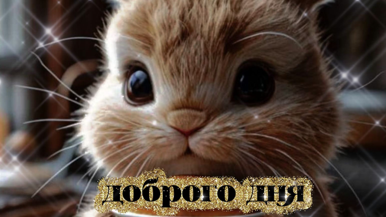 Красивые пожелания доброго дня | Музыкальные открытки с добрым днем