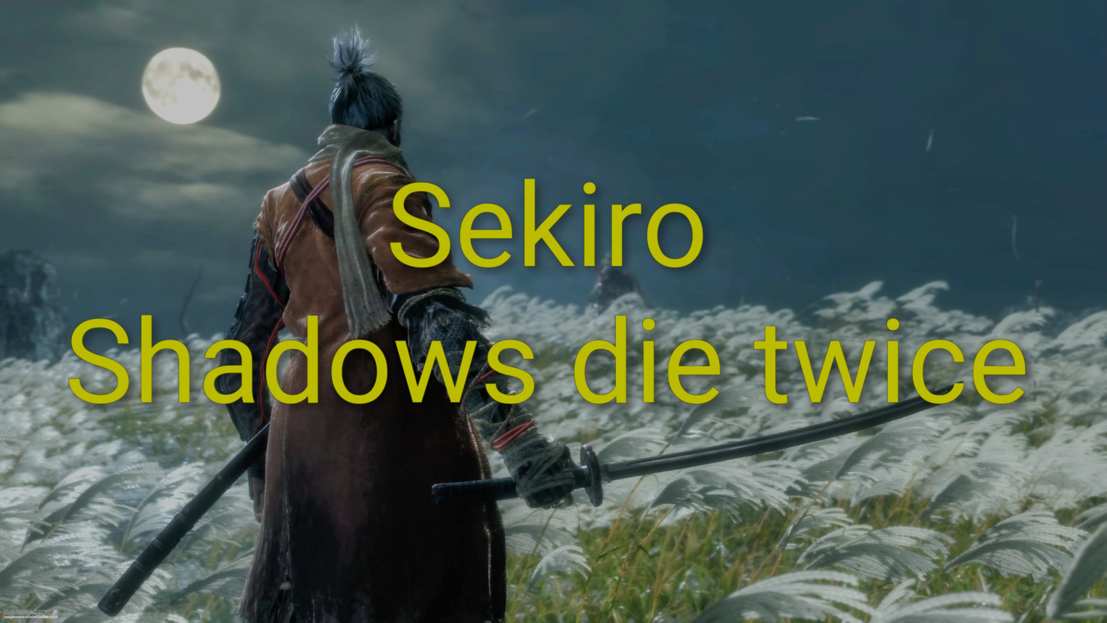 Sekiro: Shadows die twice