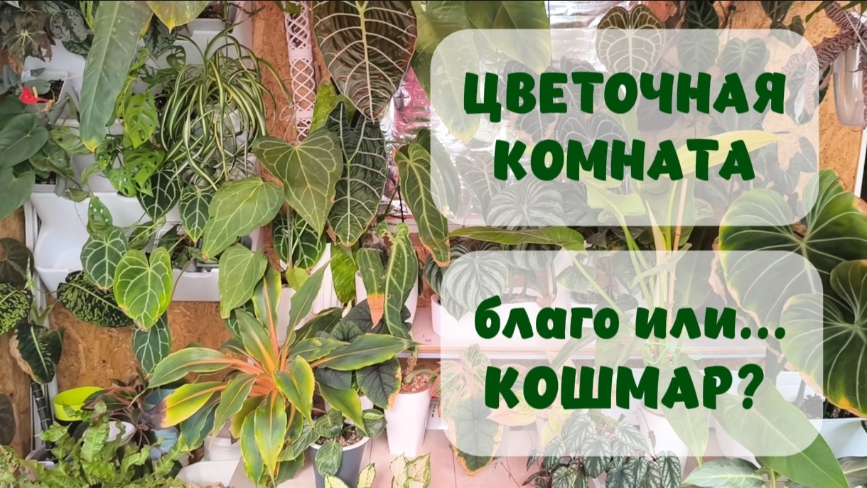 Цветочная комната