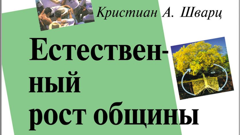 Основы ЕРО