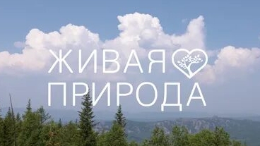 плейлист