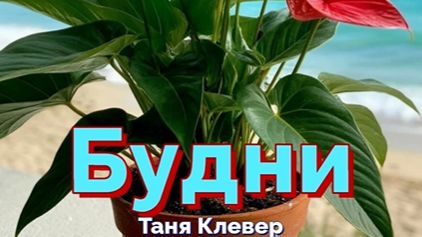 Будни. Начало.