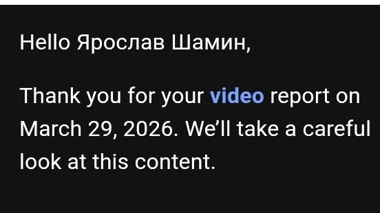 смешные видео