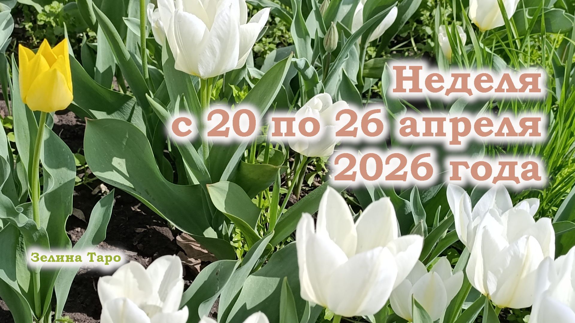 Неделя с 20 п 26 апреля 2026 года