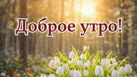 КОРОТЕНЬКИЕ КЛИПЫ С ДОБРЫМ УТРОМ 🌄