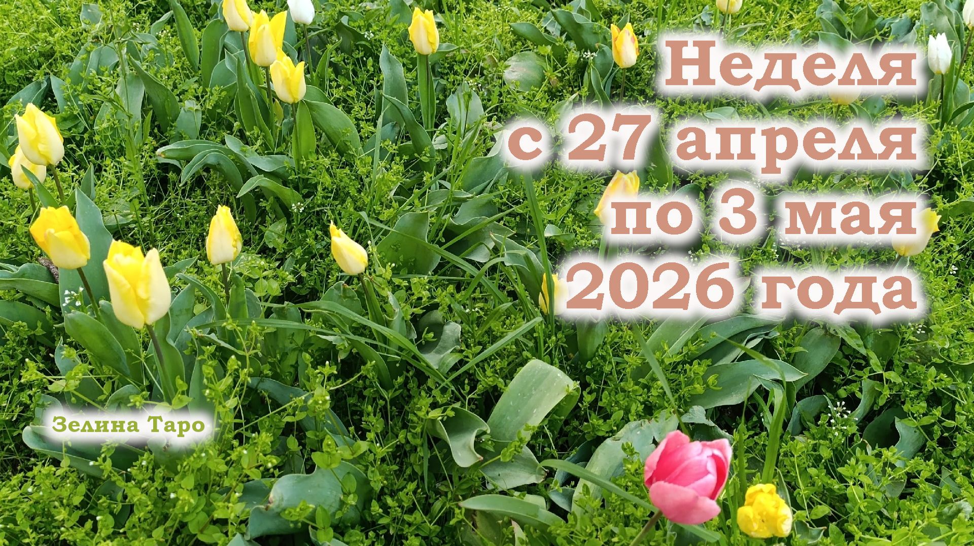 Неделя с 27 апреля по 3 мая 2026 года