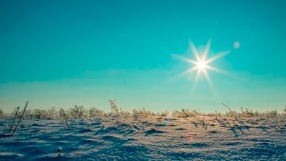Природа Верхнего Дона