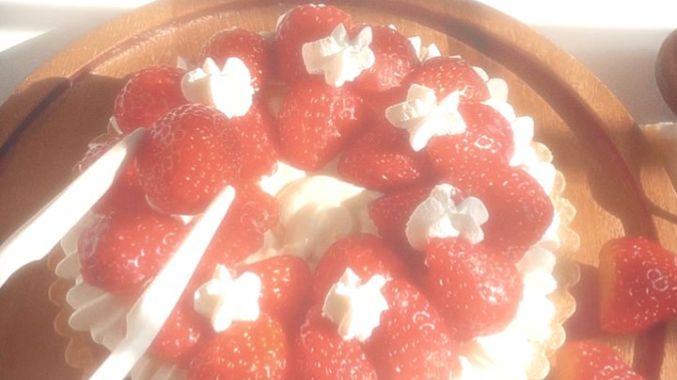 🍓ɞ˚‧｡𔓘𝐒𝐡𝐨𝐫𝐭𝐬𝜗ৎ 🍓ɞ˚‧｡⋆